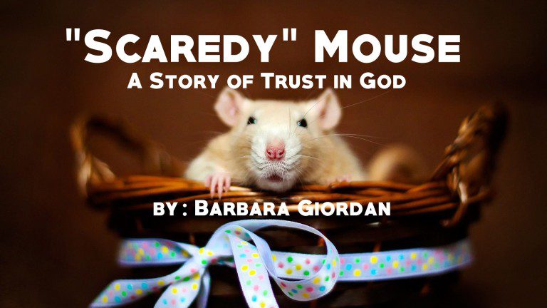 “Scaredy Mouse” (A Story of Trust in God) | Living Hope Bible Church